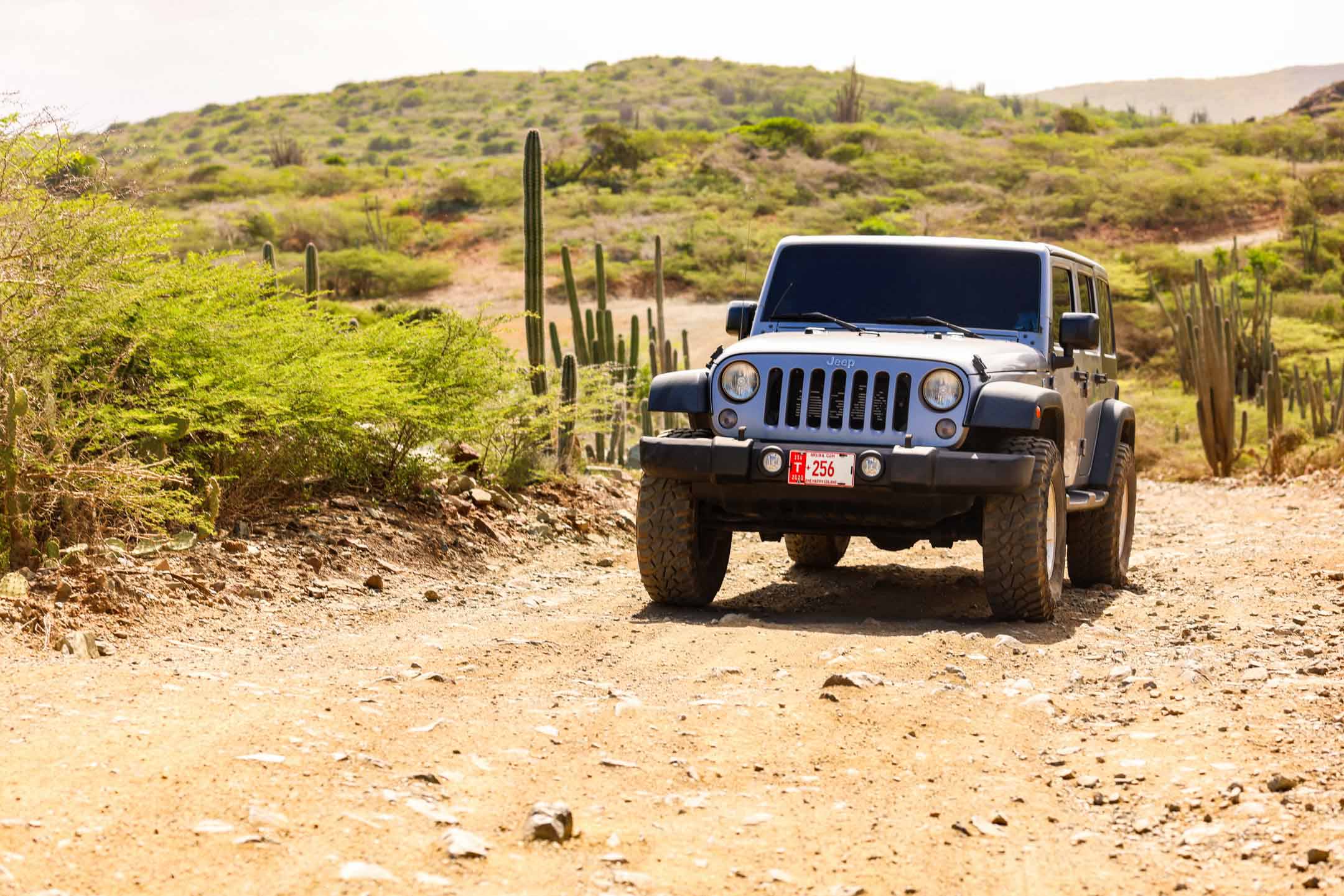 Private Jeep Tour Aruba | Touriffic Adventures